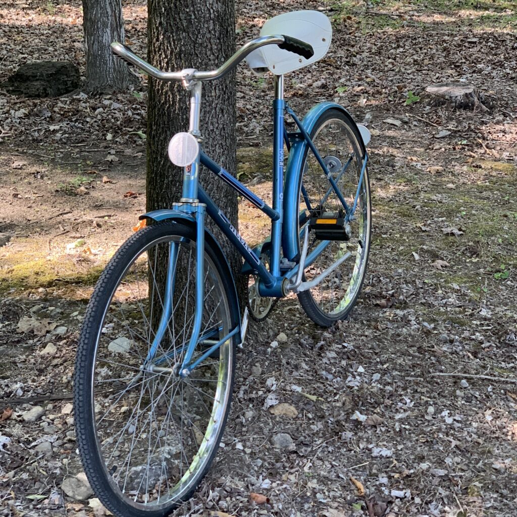 Réinventées - Daniel St-Pierre